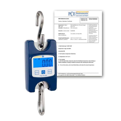 PCE Instruments Digital Hanging Scale, 50kg HS 50N: Shop Online at Best ...
